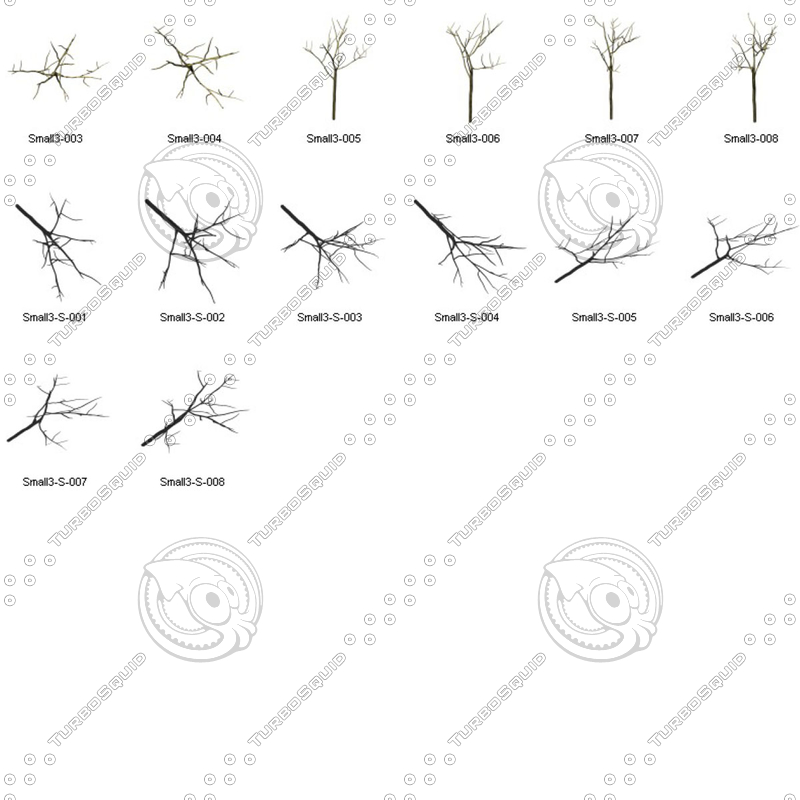 Texture TIFF Tree view birds