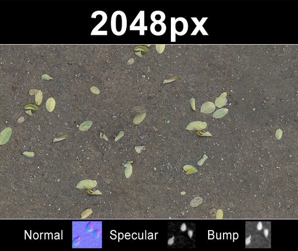 Texture leaves sand set