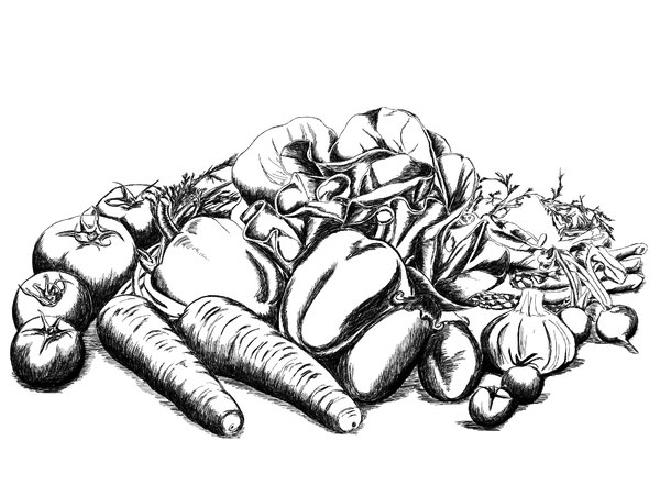 Stock JPEG vedgetable hand drawn