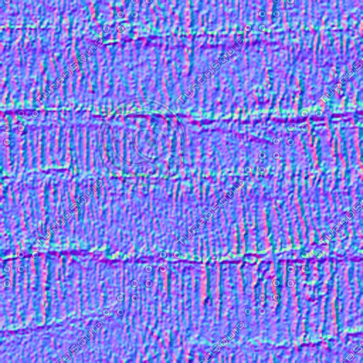 Texture palm tree bark