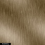 Texture JPEG texture hair tileable