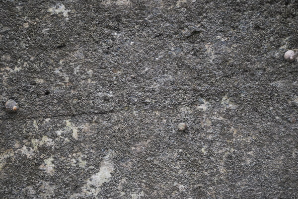 Texture JPEG sea wall seawall