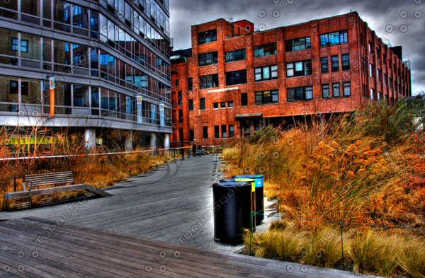 Texture JPEG HIGH LINE PARK