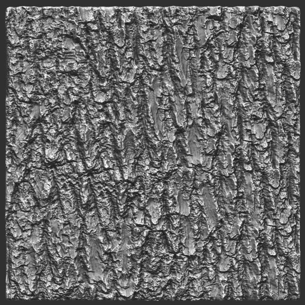 Texture Photoshop tree bark alpha