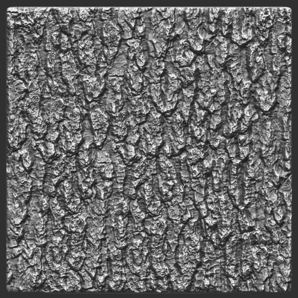 Texture Photoshop tree bark alpha