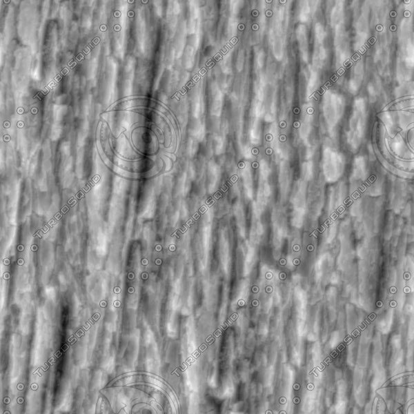 Texture Photoshop tree bark alpha