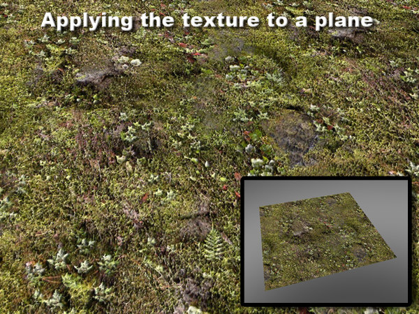 Texture JPEG Mossy ground tile