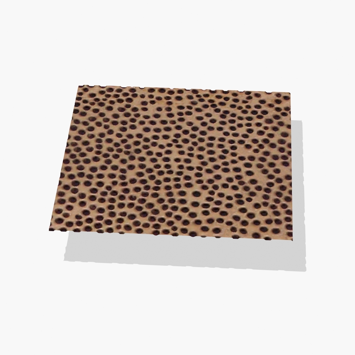 Texture Targa Bracket fungi spore