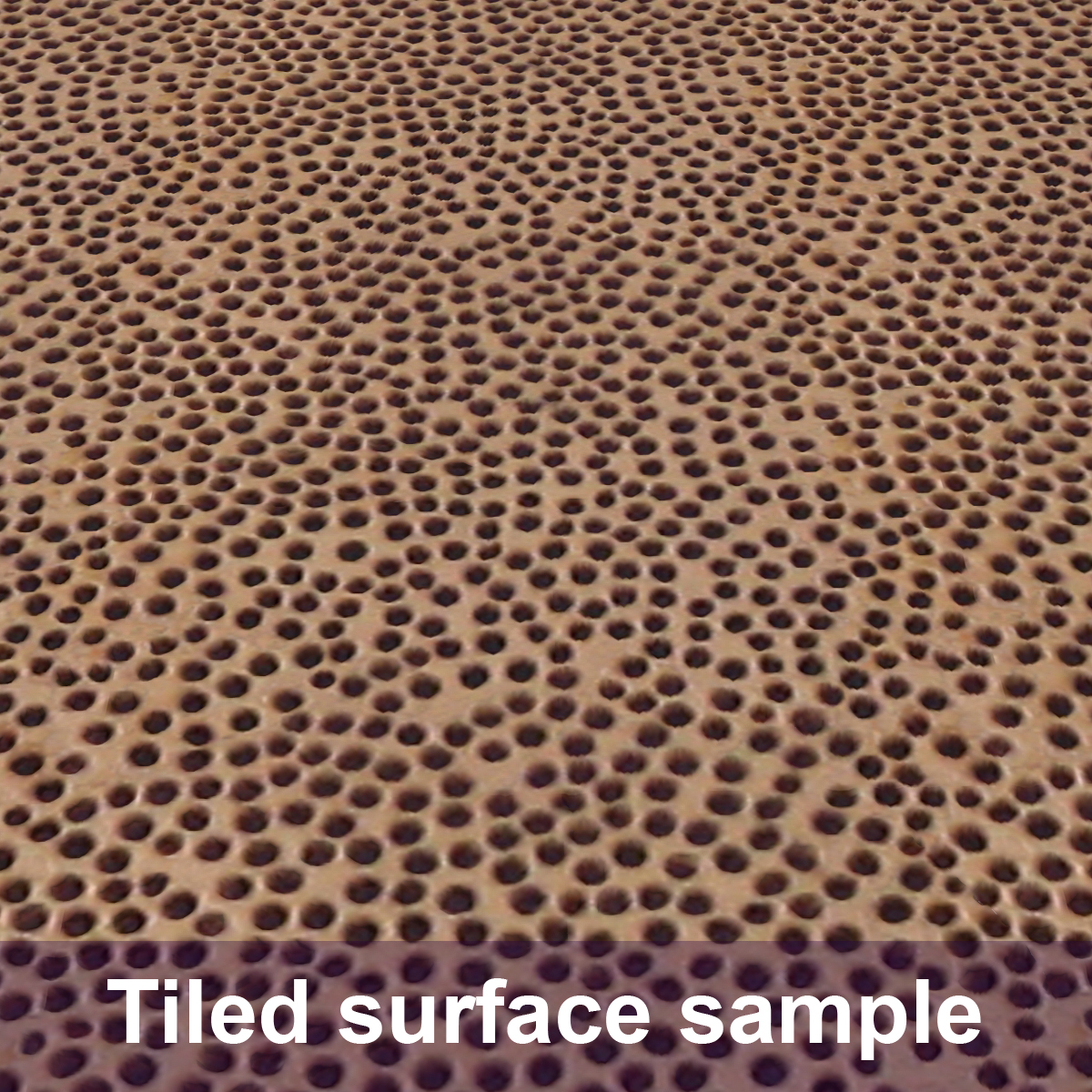 Texture Targa Bracket fungi spore