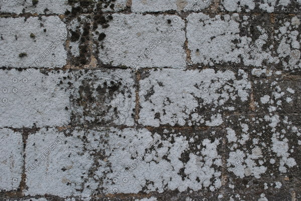 Texture JPEG sea wall seawall