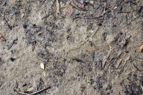Texture JPEG mud texture moist