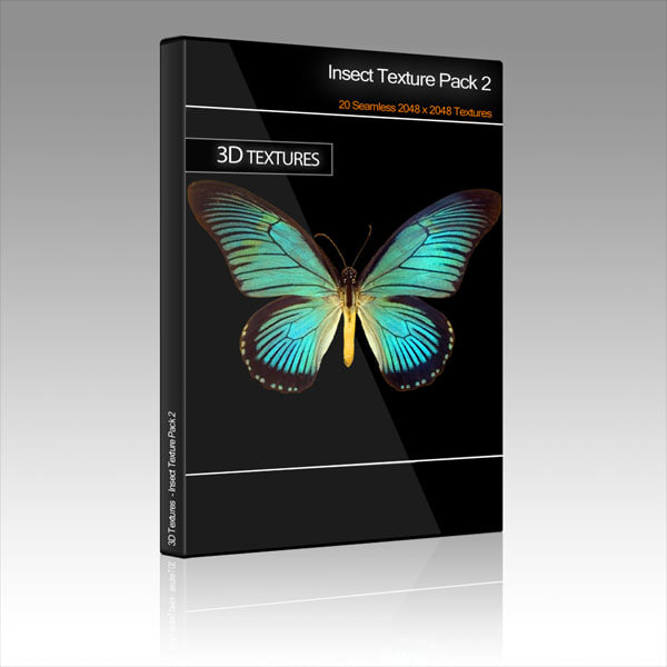 Texture insect bug butterfly