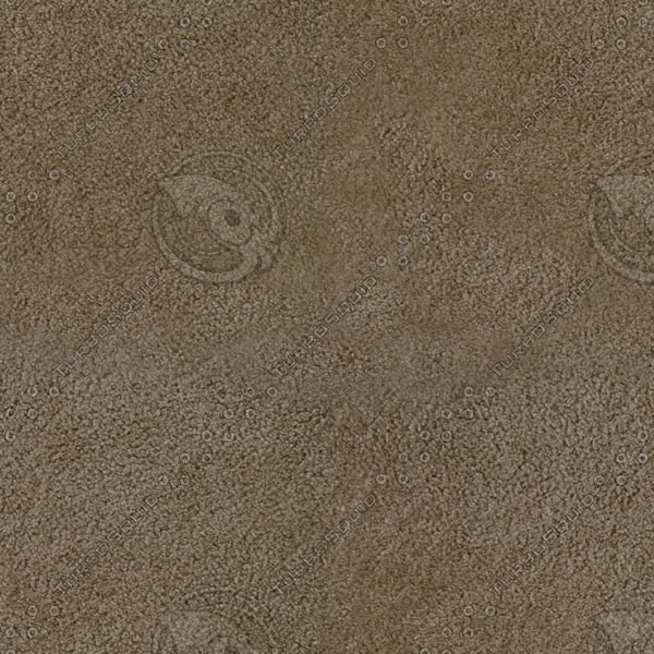 Texture JPEG carpet tan floor