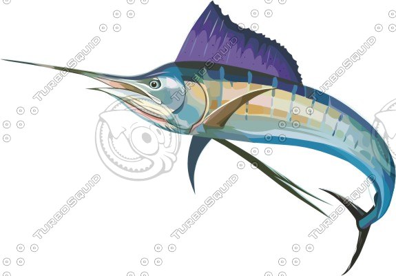 Shapes Adobe Illustrator fish vector nature
