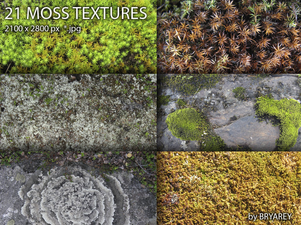 Texture JPEG moss green mossy