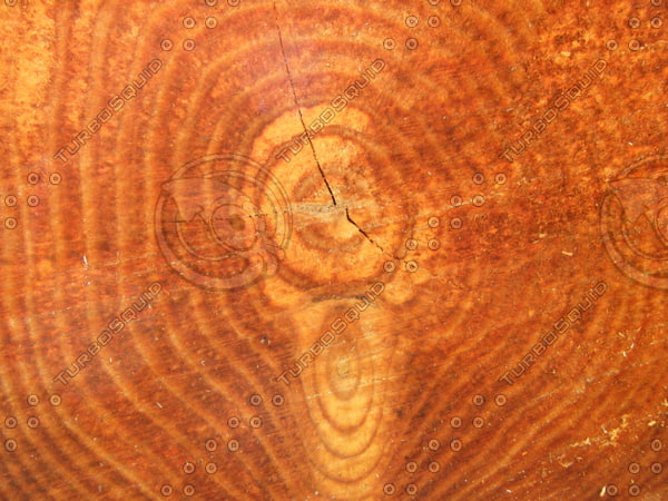 Texture JPEG wood pine end