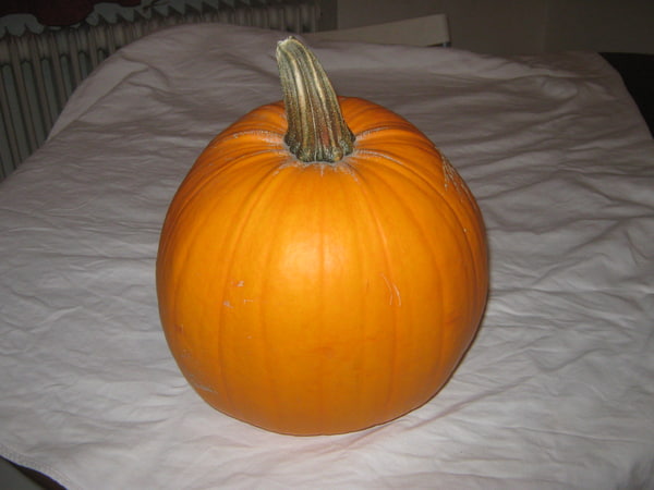 General JPEG pumpkin photo vegetable