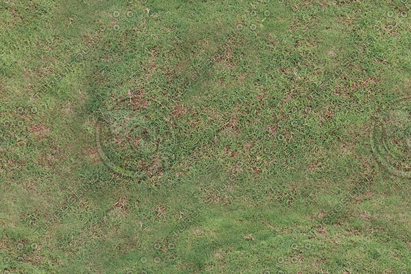 Texture Jpeg Grass Tileable Field