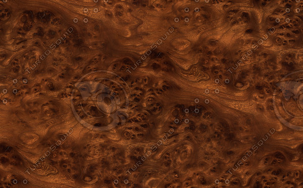 Texture JPEG burr elm wood