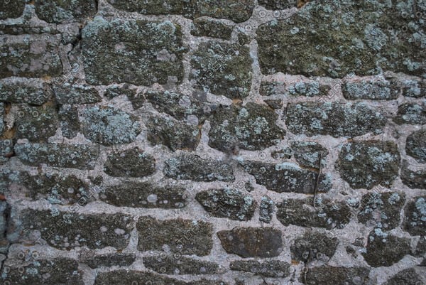 Texture JPEG stone texture rock