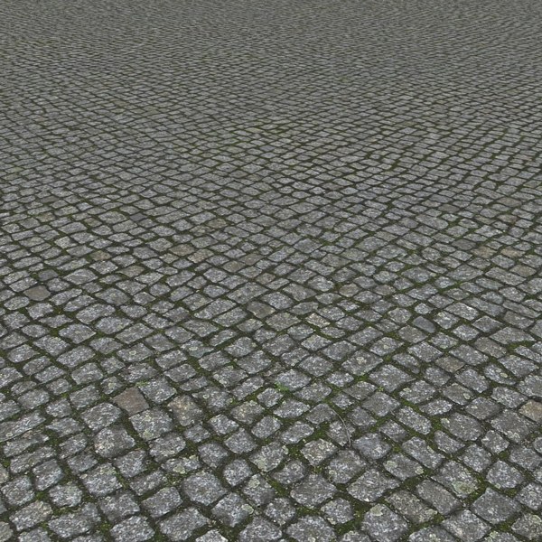 Texture JPEG stone paving medieval