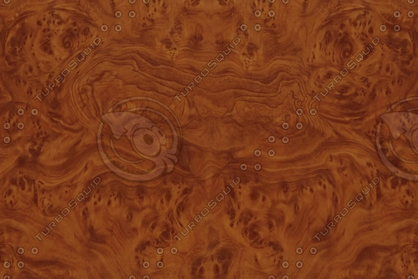 Oak Burl Wood