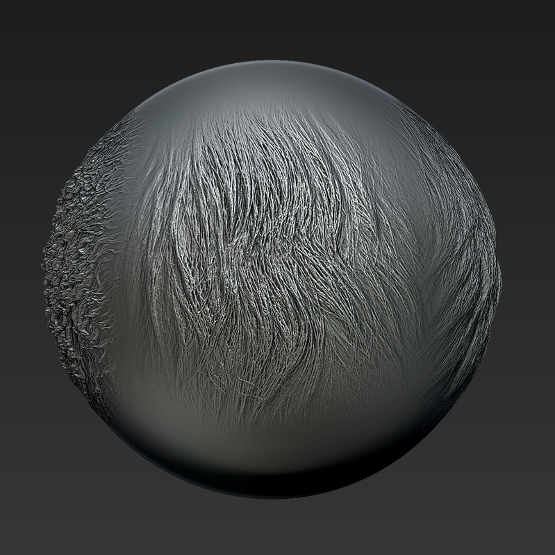 Texture alpha brush fur