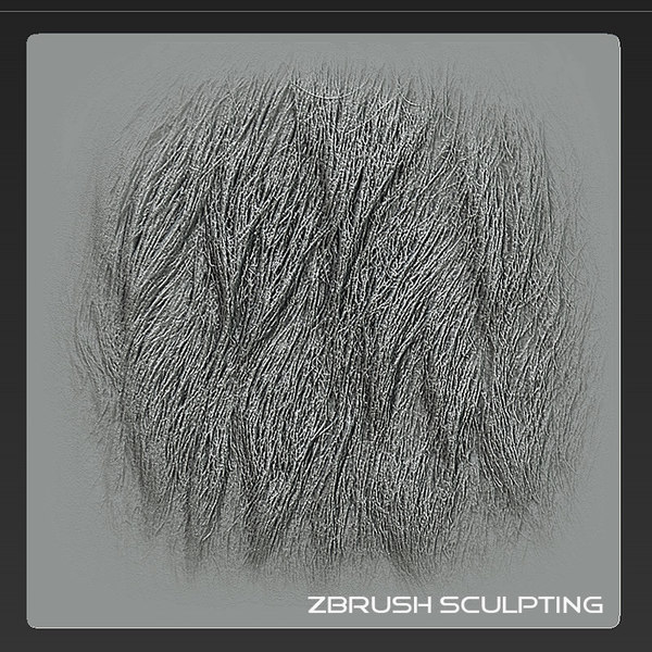 Texture alpha brush fur