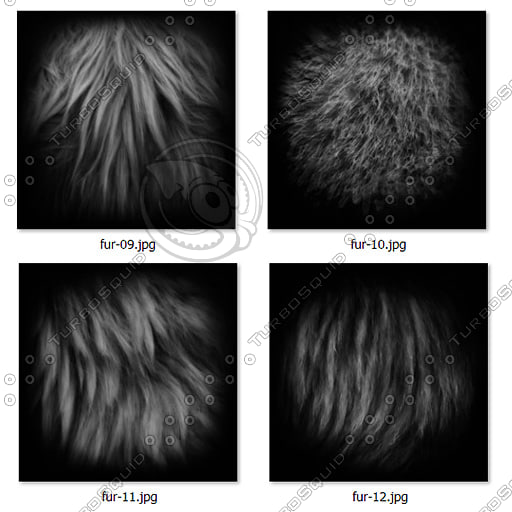 Texture alpha brush fur