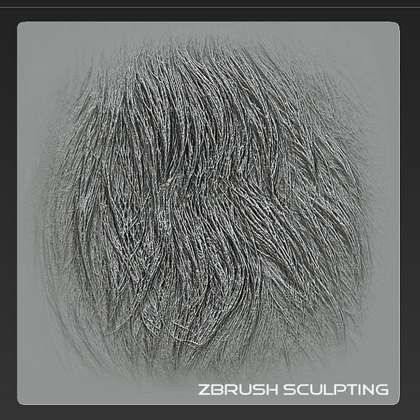 Texture alpha brush fur
