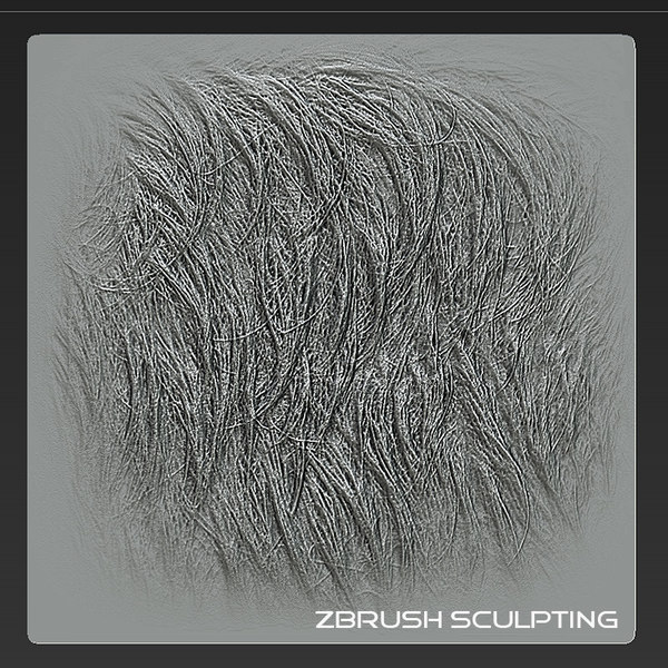 Texture alpha brush fur