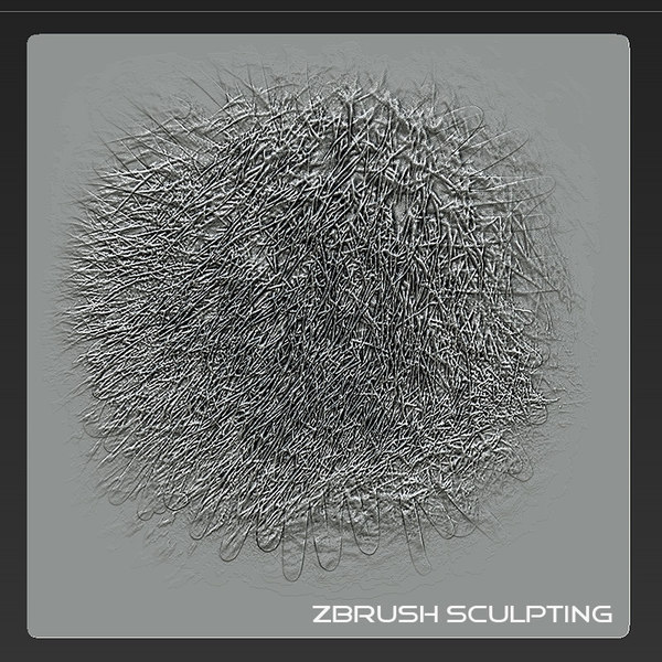 Texture alpha brush fur