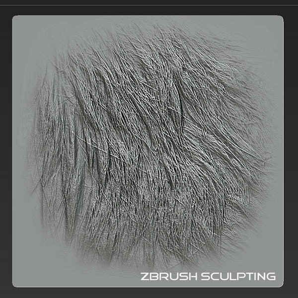 Texture alpha brush fur