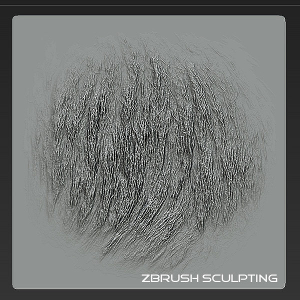 Texture alpha brush fur