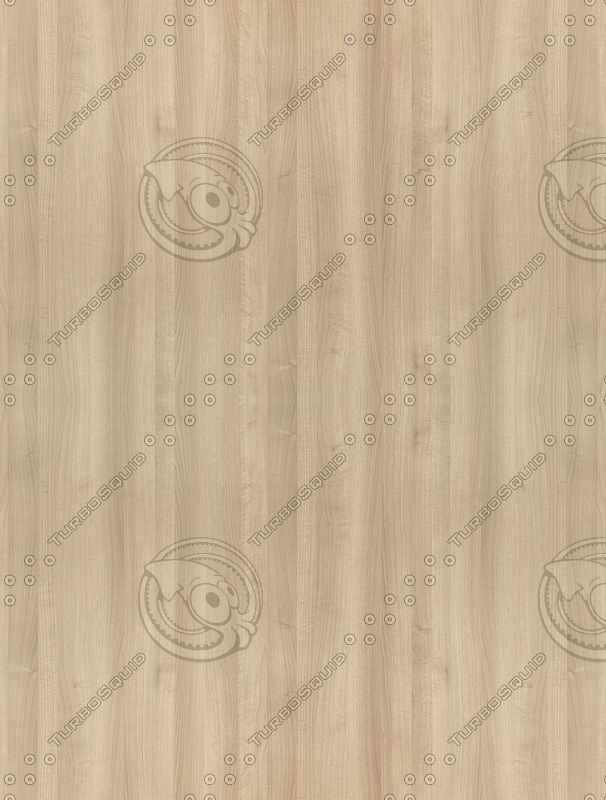 Texture JPEG wood oak hi
