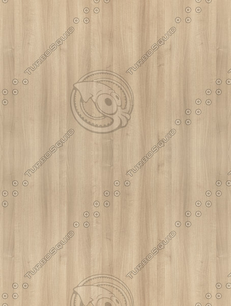 Texture JPEG wood oak hi