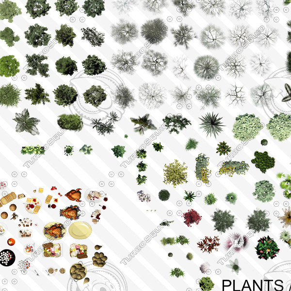 Texture Photoshop plan collection view