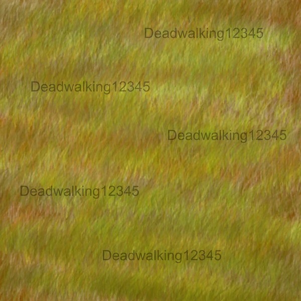 Texture Texture Basic Grass
