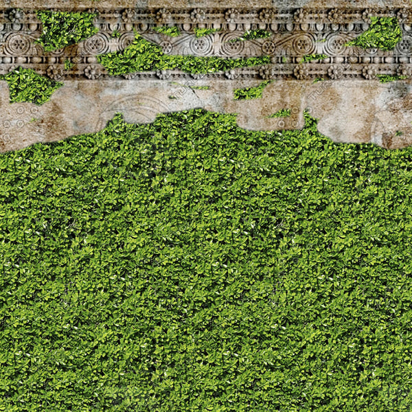 Texture Targa elven wall ivy