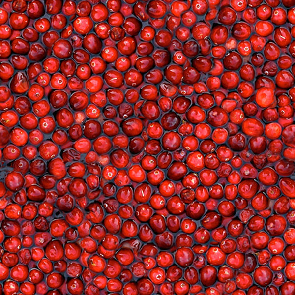 Texture Targa cranberries tile berries