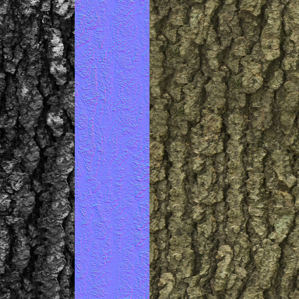 Texture TIFF tree bark tileable