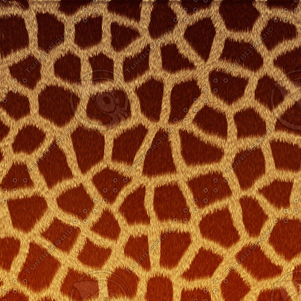Materials Animal fur textures