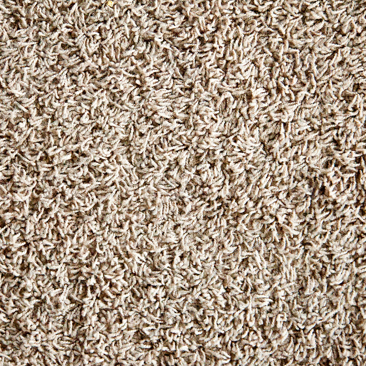 Texture JPEG carpet shag rug