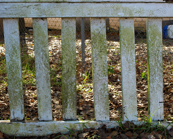 Texture JPEG wood white wooden