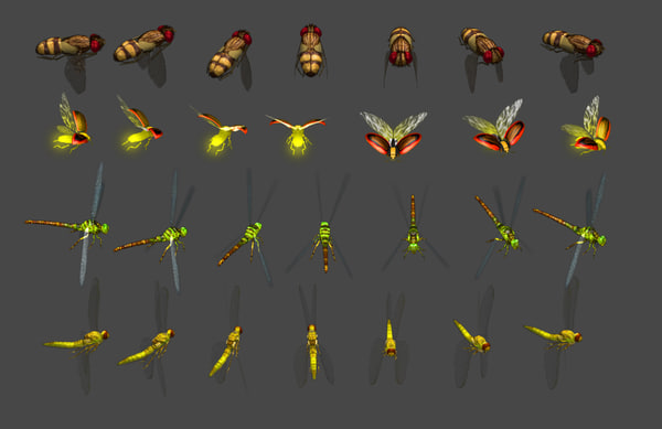 Animation insects fly insect