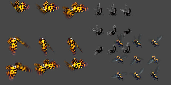 Animation insects fly insect