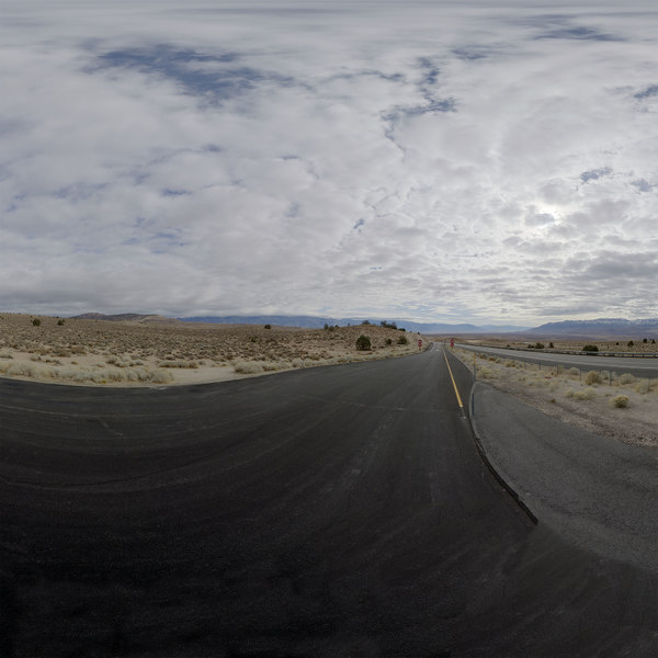 Texture USA California LizardQ