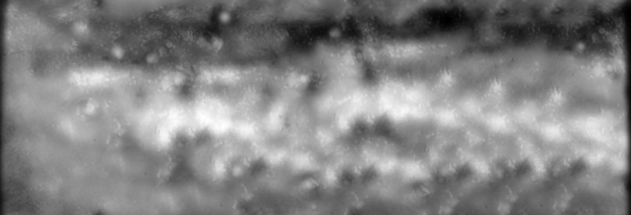 Texture JPEG texture Pickles realistic