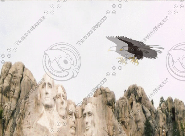 Texture GIF eagle animated GIF