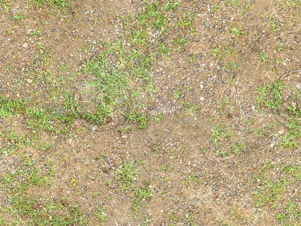 Texture JPEG grass texture soil